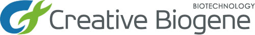 [Creative Biogene] ClotBlood DNA Kit – 휴바이오랩 (HUBIO LAB) – 시약, 과학기자재