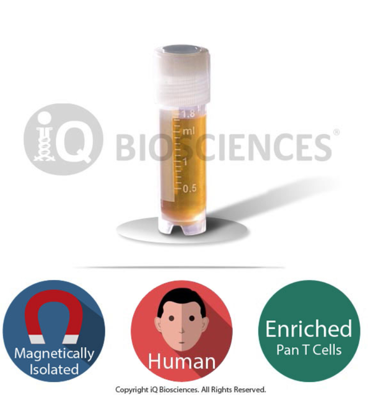[IQ Biosciences] Purified Human CD3 Pan T Cells – 휴바이오랩 (HUBIO LAB ...
